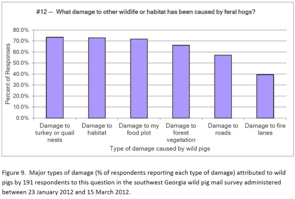 Wild Hog Damage and Disease - JAGER PRO Store