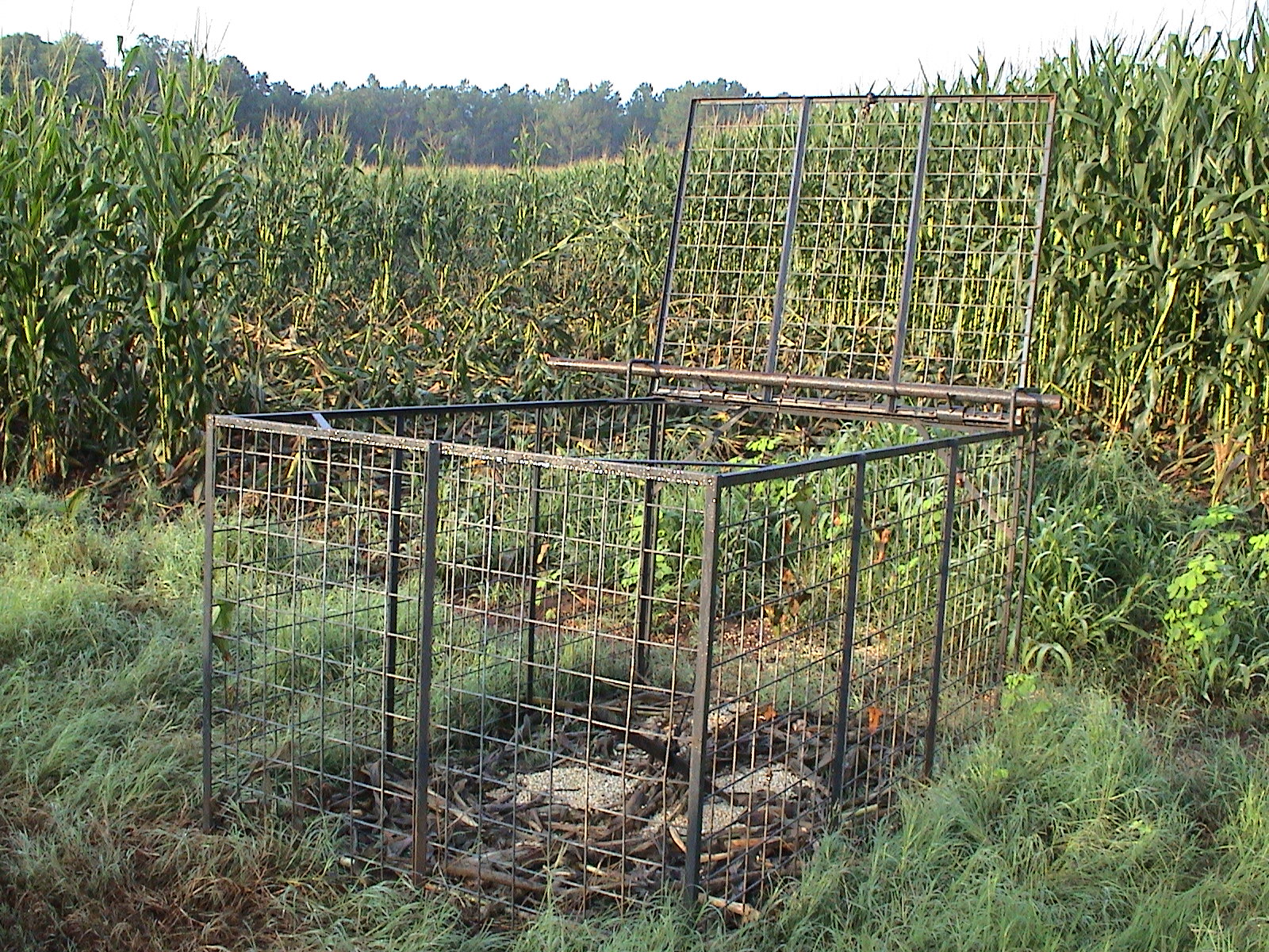 Top Ten Hog Trapping Mistakes - JAGER PRO Store