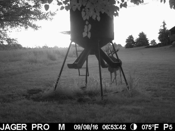 Photo Resolution - JAGER PRO Store